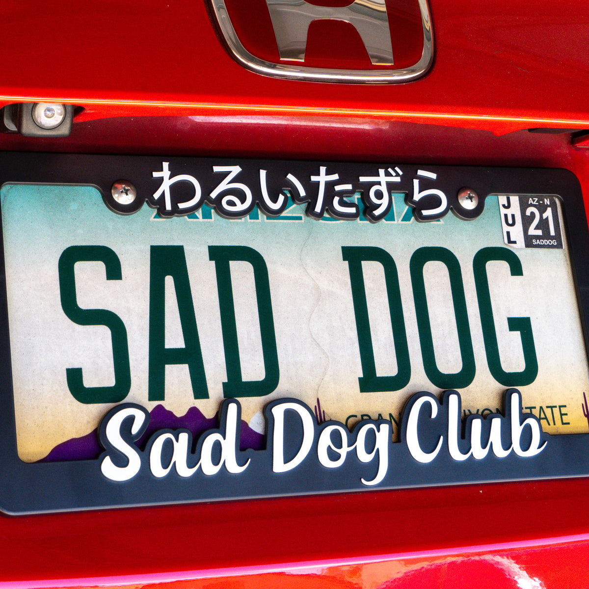 SDC License Plate Cover – Sad Dog Club